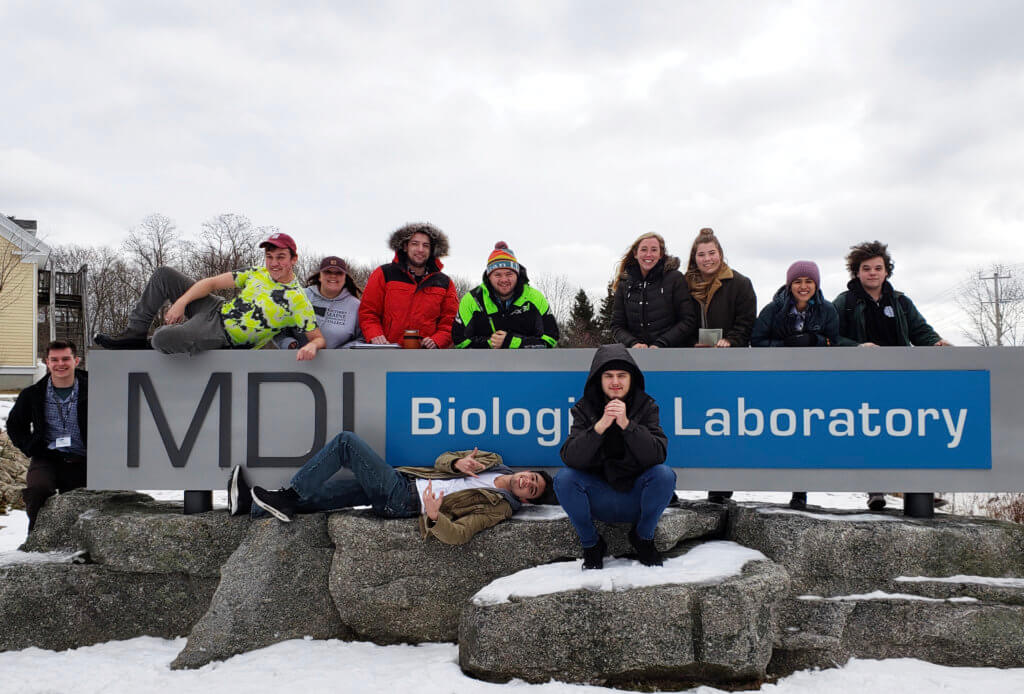 SMCC students conduct biomedical research at MDI Biological Laboratory ...