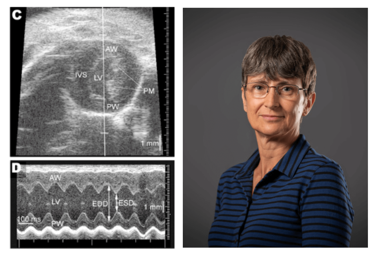 April 23, Weds., 5:30 p.m., Beyond Cholesterol: How Dietary Lipids ...